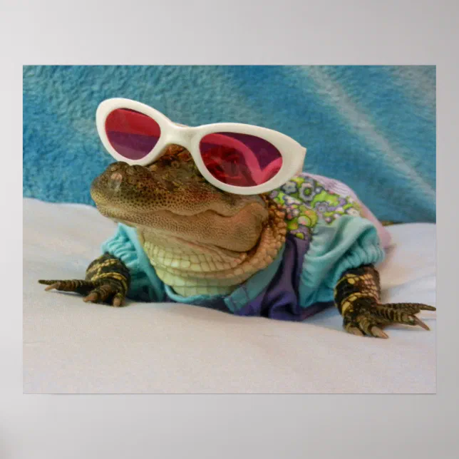 Gator Greetings - Keep Smiling Poster | Zazzle
