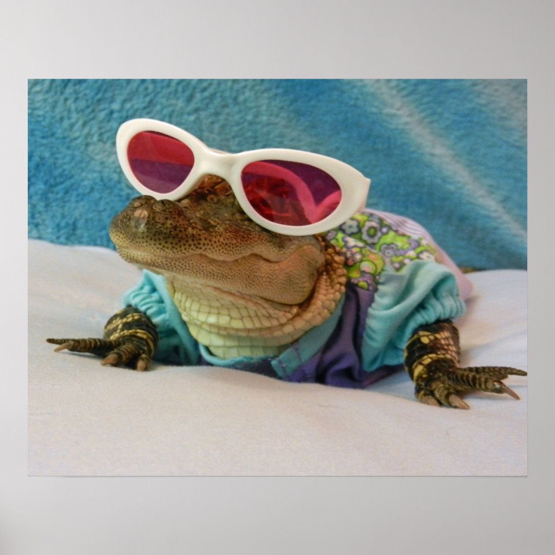 Gator Greetings - Keep Smiling Poster | Zazzle