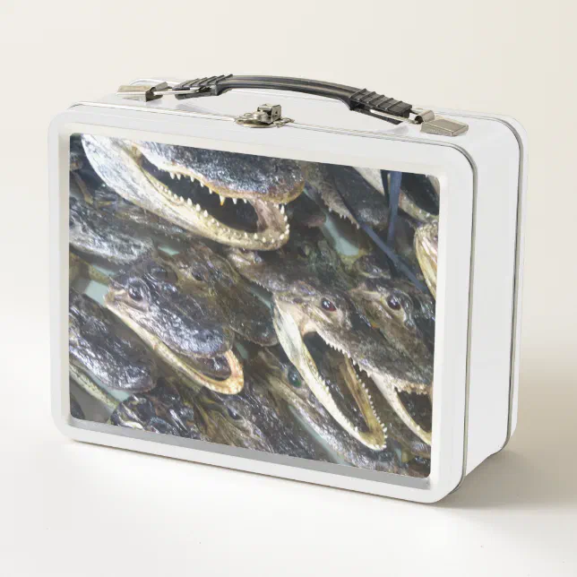 Gator Head Lunch Box | Zazzle