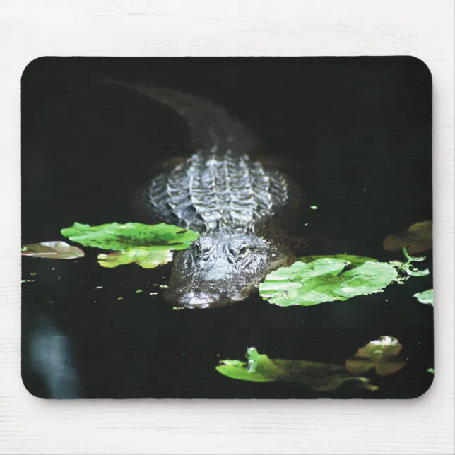 Gator Mouse Pad | Zazzle