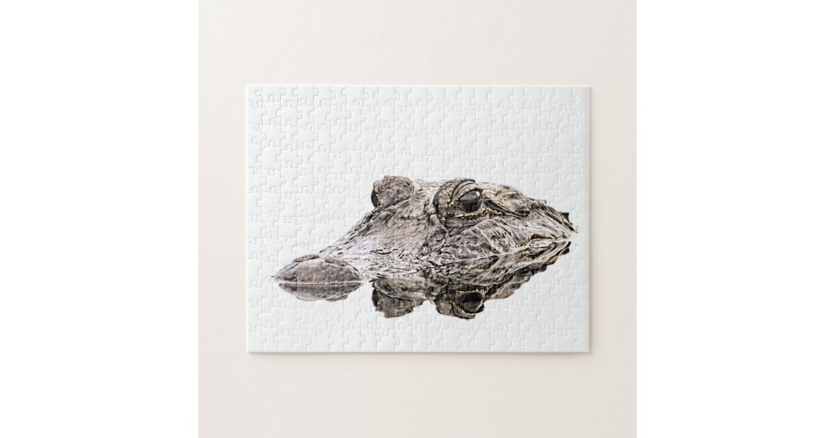 Gator Puzzle | Zazzle