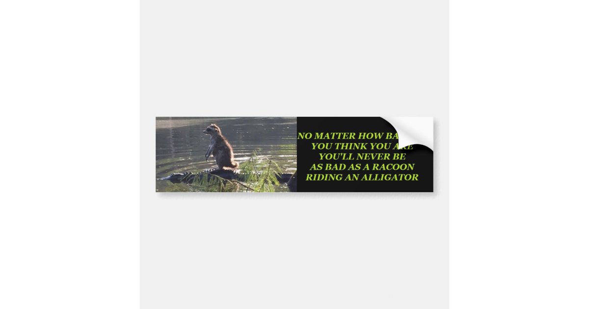 GATOR RIDE Bumper Sticker | Zazzle