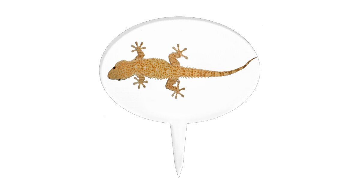 gecko lizard cake topper | Zazzle