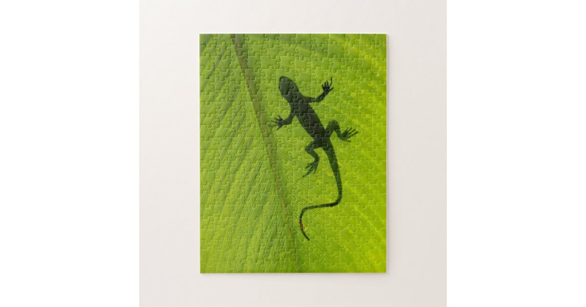 Gecko Silhouette Jigsaw Puzzle | Zazzle