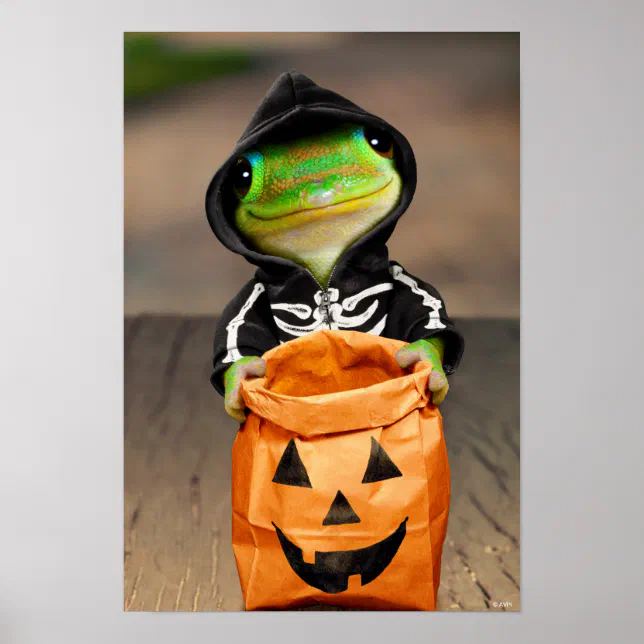 Gecko Skeleton Poster | Zazzle