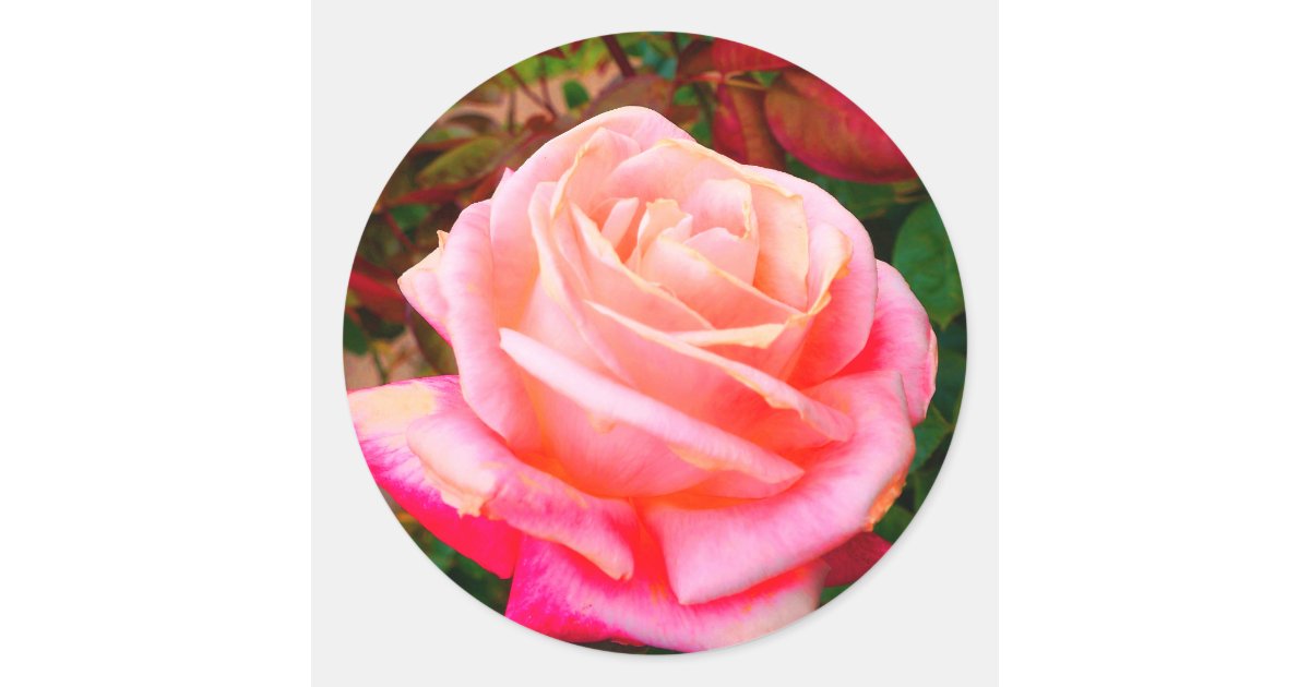 Gemini Rose #2 Stickers | Zazzle