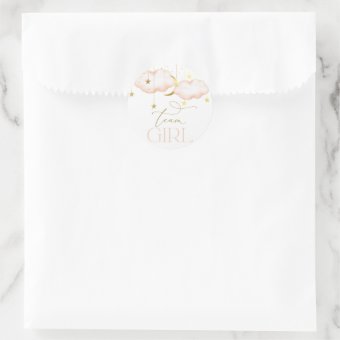 Gender Reveal Stickers, Blush Pink Team Girl Classic Round Sticker | Zazzle