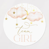 Gender Reveal Stickers, Team Boy, Team Girl Labels | Zazzle