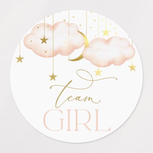 Gender Reveal Stickers, Team Boy, Team Girl Labels | Zazzle