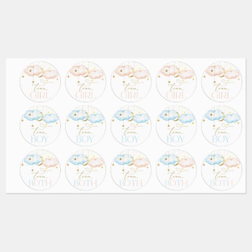 Gender Reveal Stickers, Team Boy, Team Girl Labels | Zazzle