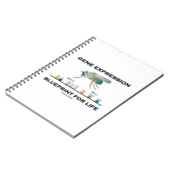 Gene Expression Blueprint For Life Homeobox Genes Notebook | Zazzle