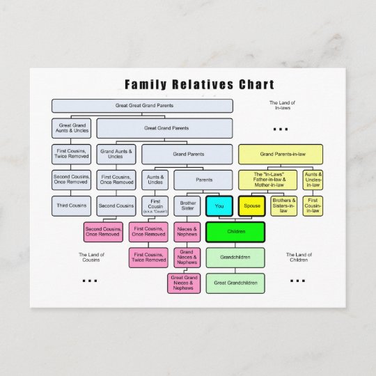 General Family Tree Organization of Relatives Postcard | Zazzle.com