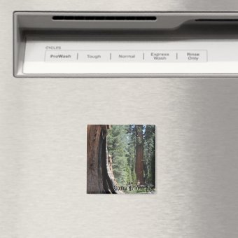 General Sherman Tree- Sequoia National Park Magnet | Zazzle