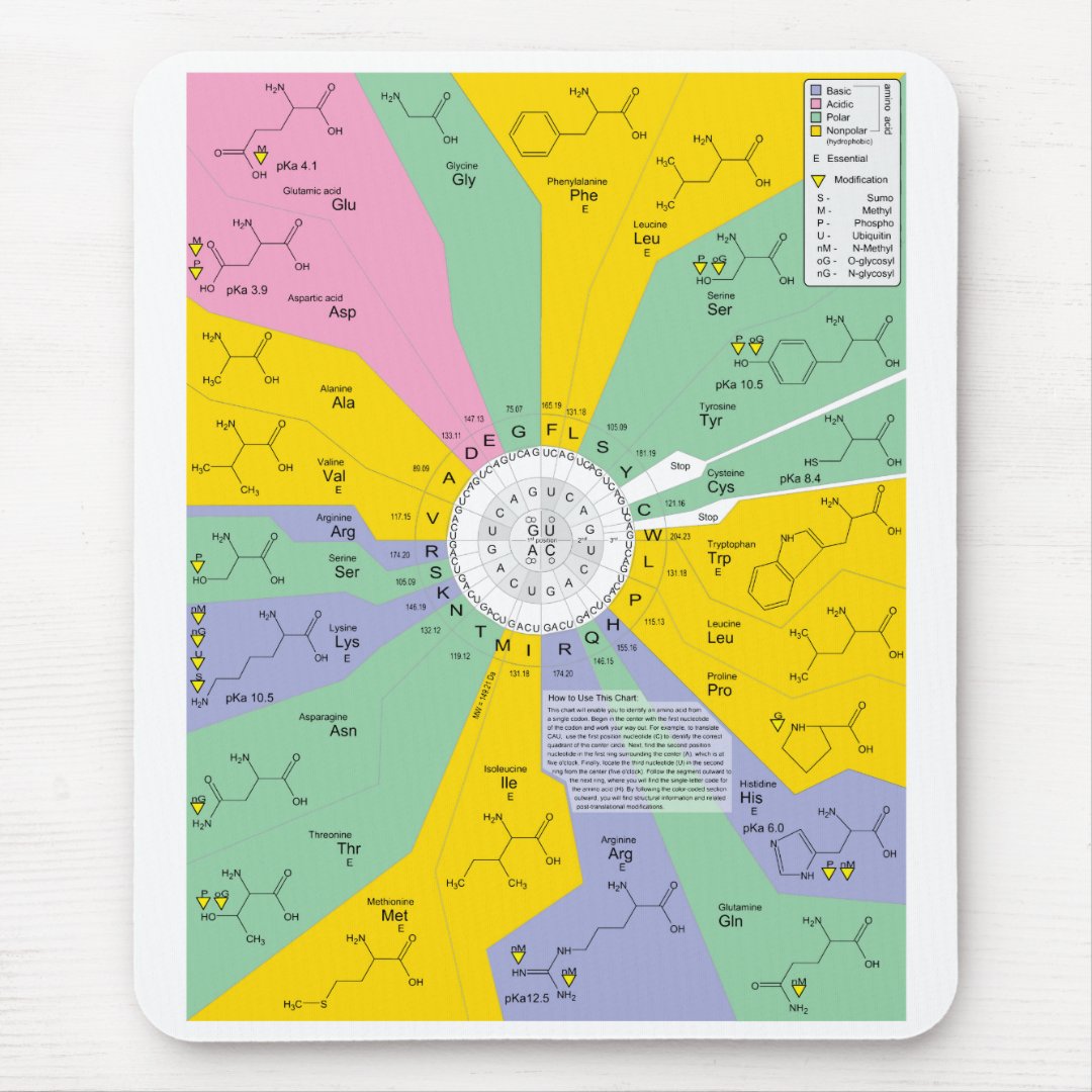 Genetic Code Diagram Showing Amino Acid Residues Mouse Pad | Zazzle