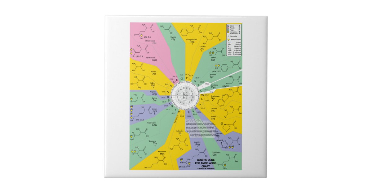 Genetic Code For Amino Acids (Chart Wheel) Ceramic Tile | Zazzle