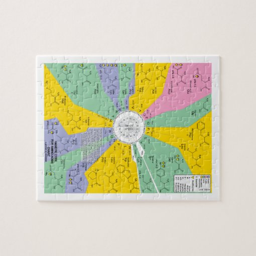 Genetic Code For Amino Acids (Chart Wheel) Jigsaw Puzzle | Zazzle