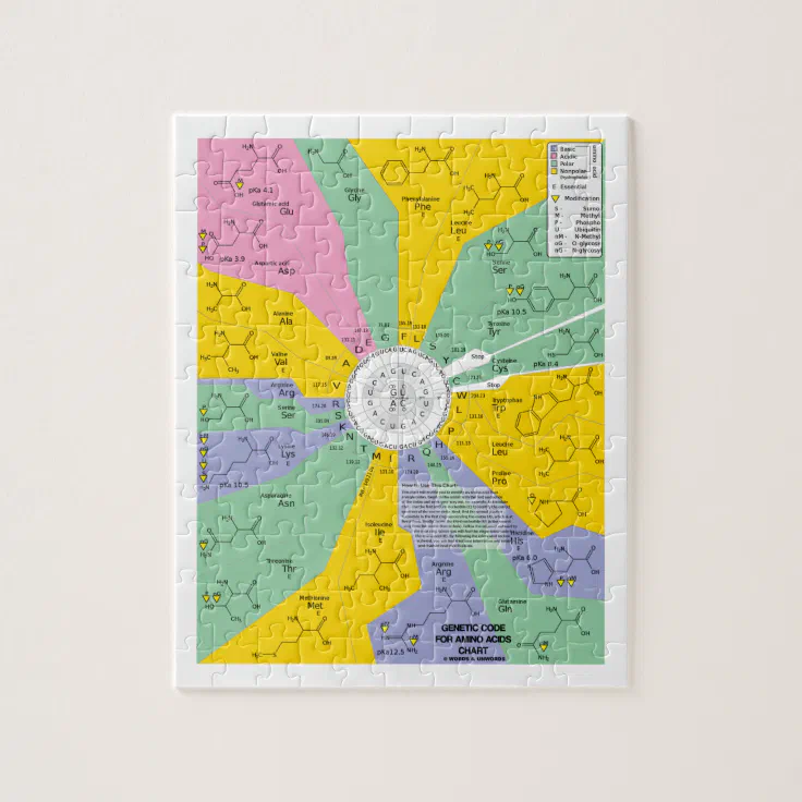 Genetic Code For Amino Acids (Chart Wheel) Jigsaw Puzzle | Zazzle