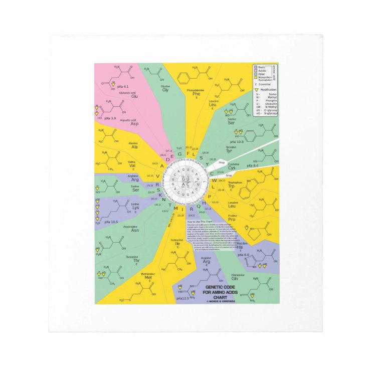 Genetic Code For Amino Acids (Chart Wheel) Notepad | Zazzle