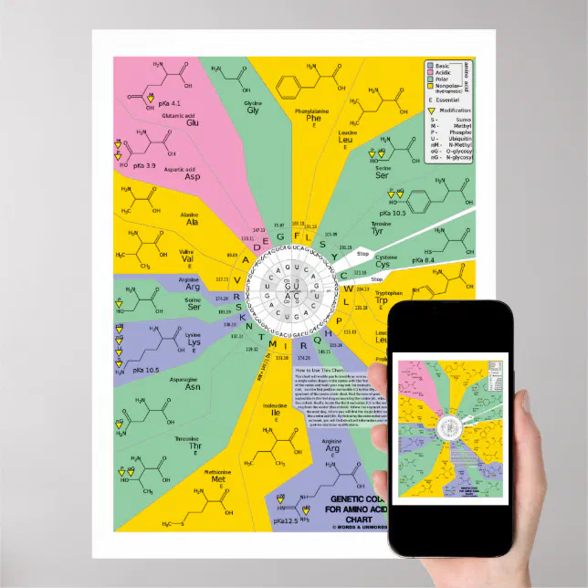 Genetic Code For Amino Acids (Chart Wheel) Poster | Zazzle