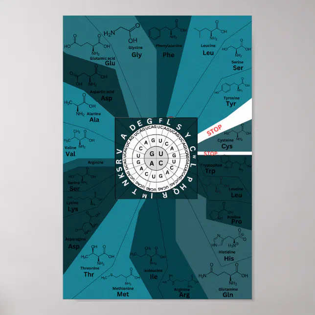 Genetic codon chart wheel of amino acids blue | Zazzle