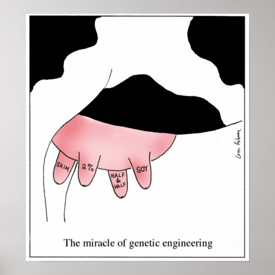 Genetic Engineering Cow GMO Udder Cartoon Poster | Zazzle.com
