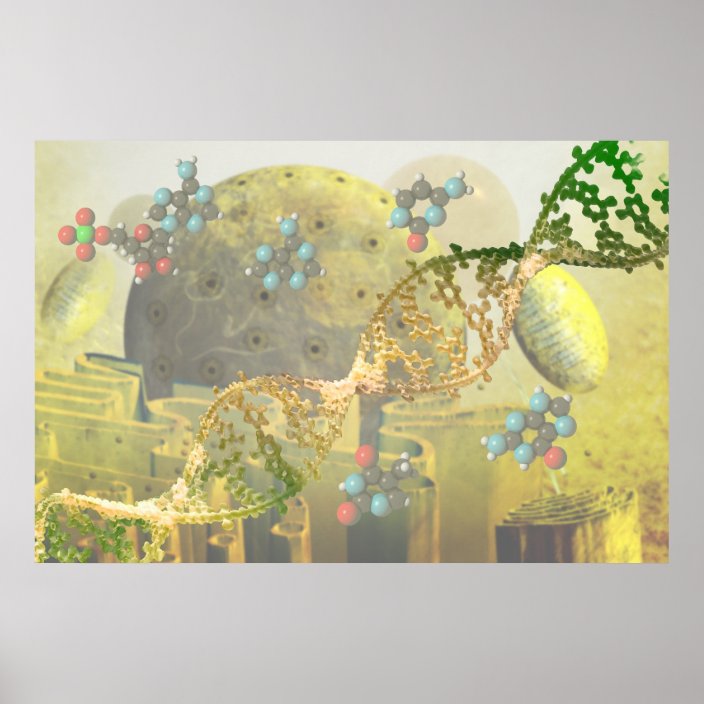 Genetic engineering poster | Zazzle.com