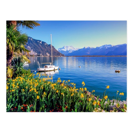 Geneva lake at Montreux, Vaud, Switzerland Postcard | Zazzle.com