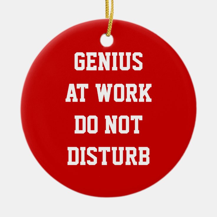 Genius at work do not disturb door hanger ornament | Zazzle