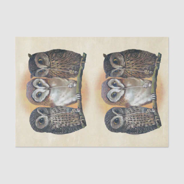 Genuine (Not AI) Pipe Smoking Owls Illustration Tissue Paper | Zazzle