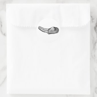 Geoduck Clam (black and white illustration) Classic Round Sticker | Zazzle