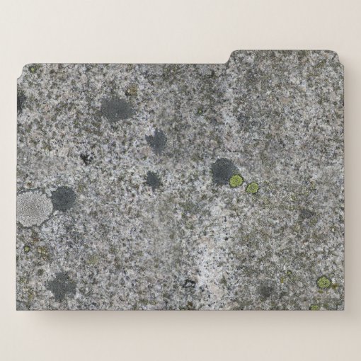 Geology Rock Structure Photos x3 File Folder | Zazzle