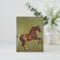 George Stubbs | Whistlejacket, 1762 Postcard | Zazzle