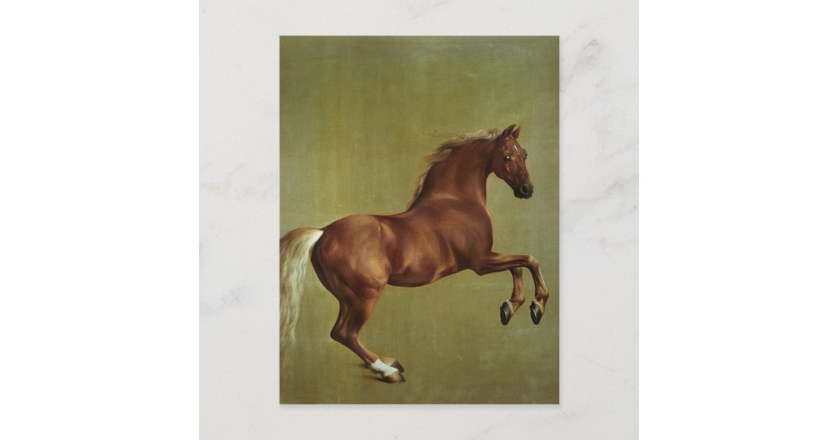 George Stubbs | Whistlejacket, 1762 Postcard | Zazzle
