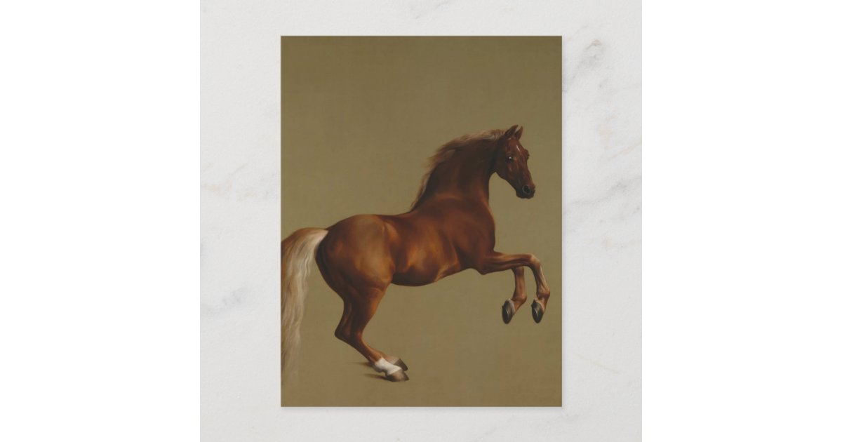 George Stubbs- Whistlejacket Postcard | Zazzle