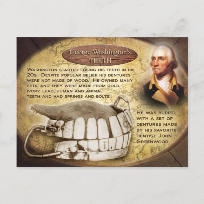 George Washington's Teeth (Dentures) Postcard | Zazzle.com