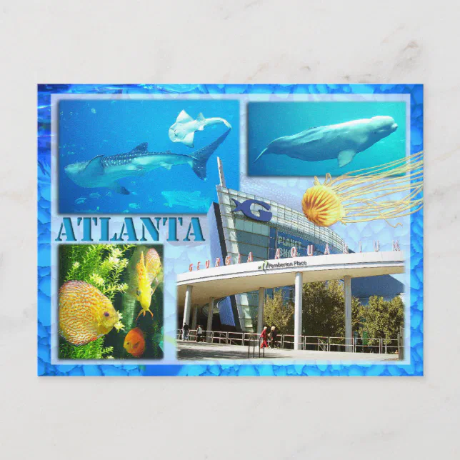 GEORGIA AQUARIUM, ATLANTA, GEORGIA POSTCARD | Zazzle