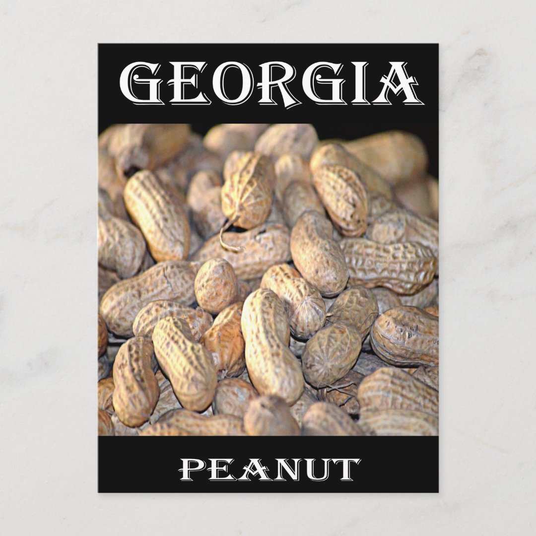 Georgia Peanut Postcard | Zazzle