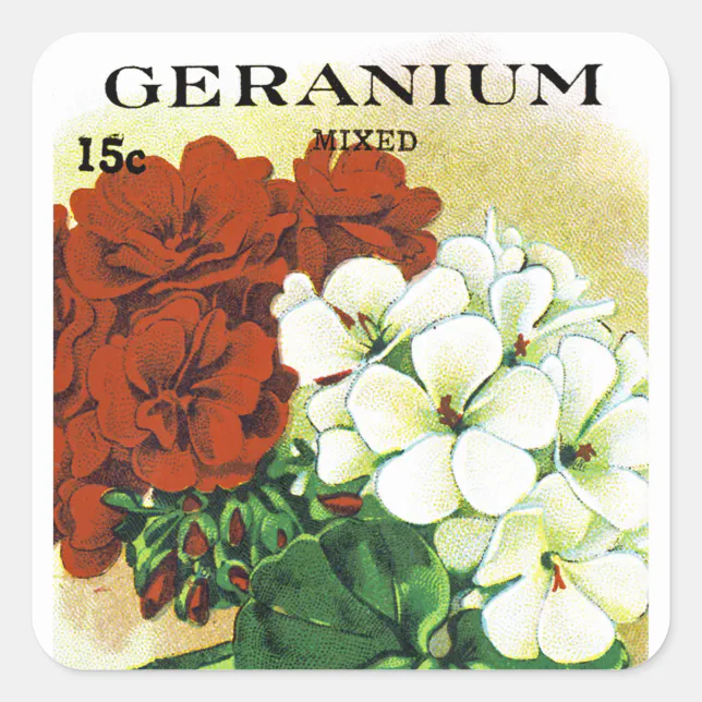 Geranium Seed Packet Label | Zazzle