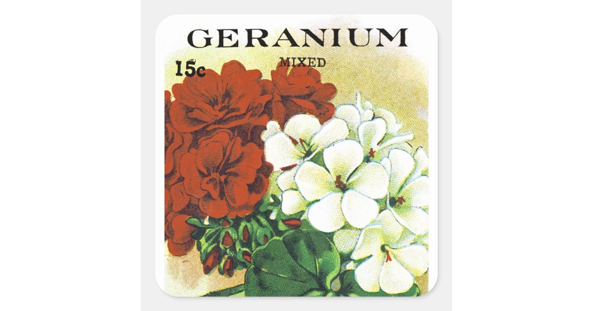 Geranium Seed Packet Label | Zazzle