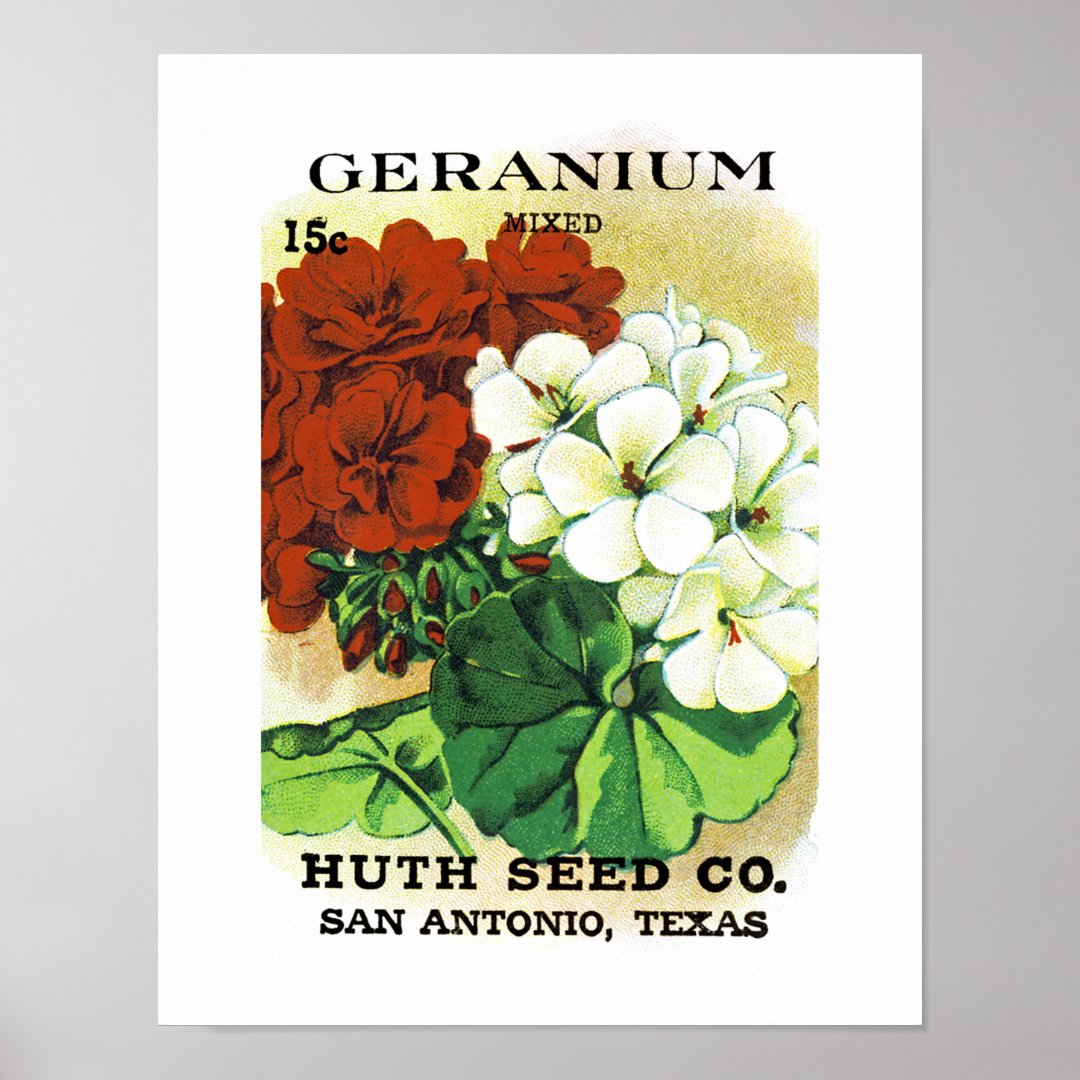 Geranium Seed Packet Label Poster | Zazzle