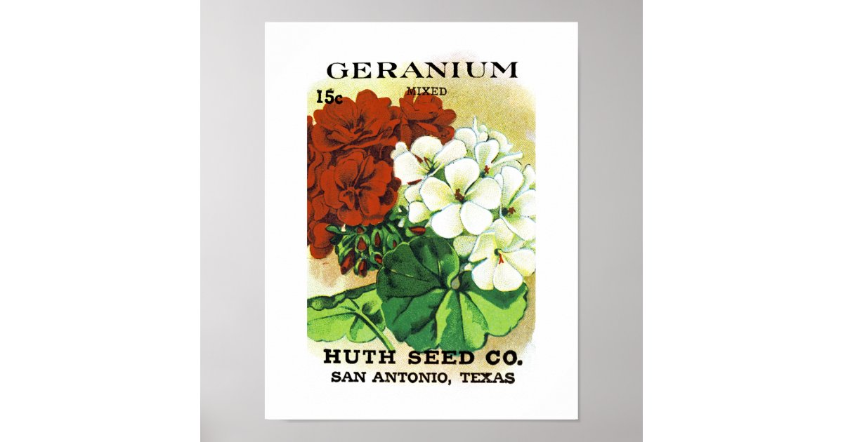 Geranium Seed Packet Label Poster | Zazzle