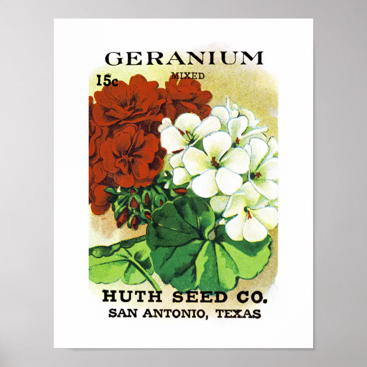 Geranium Seed Packet Label Poster | Zazzle