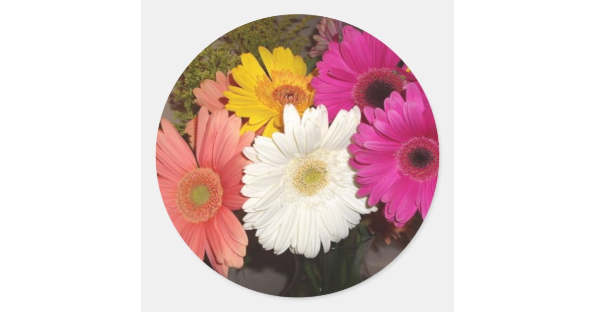 Gerbera Daisies 017 Classic Round Sticker | Zazzle
