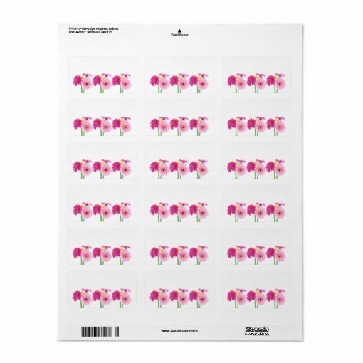 Gerbera Daisy Pink Flowers Label | Zazzle