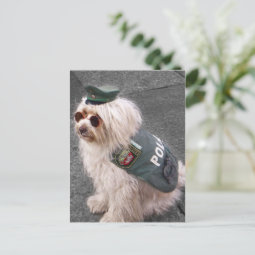 German Police Dog with Handcuffs Postcard | Zazzle