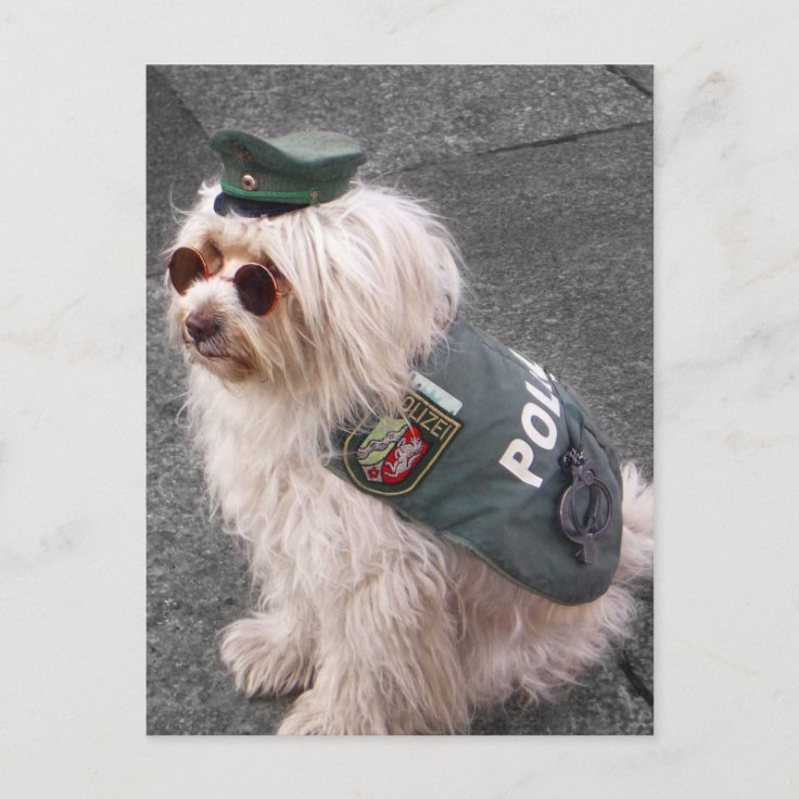 German Police Dog with Handcuffs Postcard | Zazzle