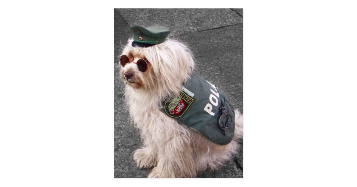 German Police Dog with Handcuffs Postcard | Zazzle.com