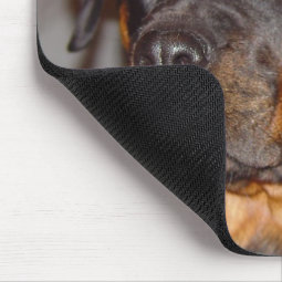 German Rottweiler Mouse Pad | Zazzle