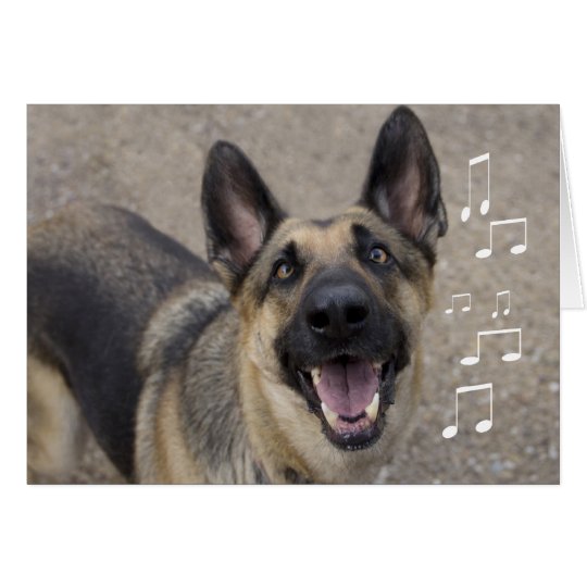 German Shepherd Birthday Card | Zazzle