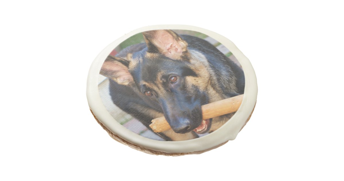 German Shepherd by Shirley Taylor Sugar Cookie | Zazzle